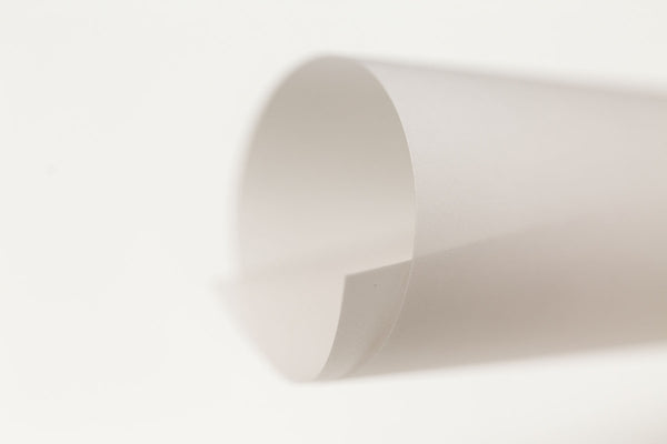 Translucent Card Stock Paper for DIY invitations and wedding inserts ...