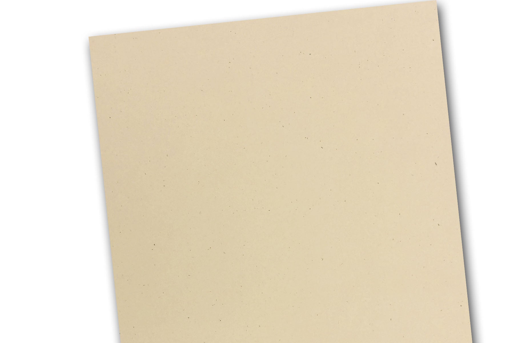 Exclusive FIBER paper for printed brochures, flyers and letterhead ...