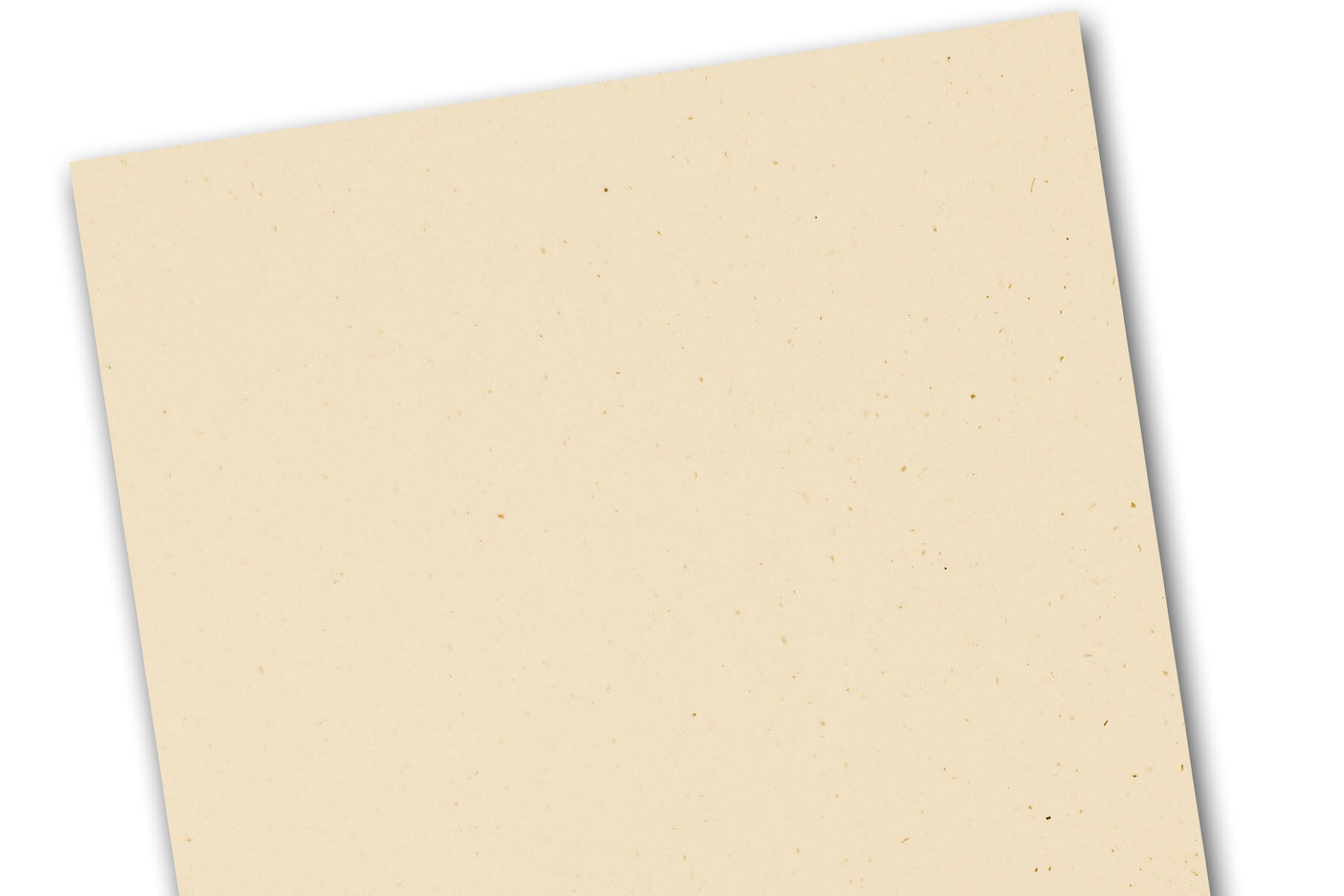 Exclusive FIBER paper for printed brochures, flyers and letterhead ...